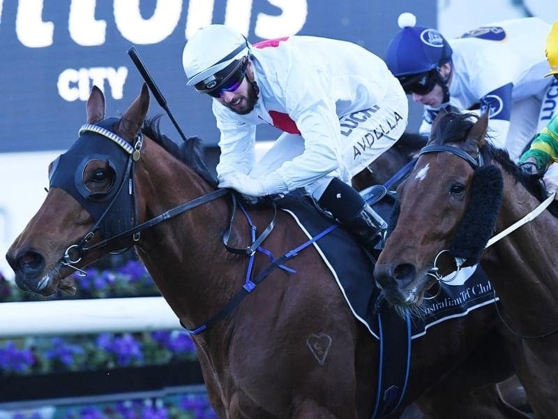 Consistent Deploy on song for Theo Marks | Betting Site