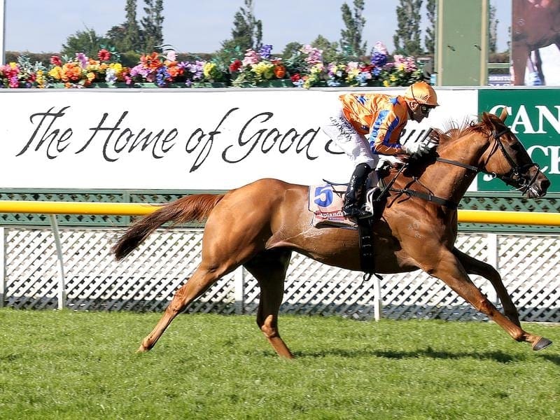 Doncaster Mile, Queen Elizabeth for Shark | Betting Site