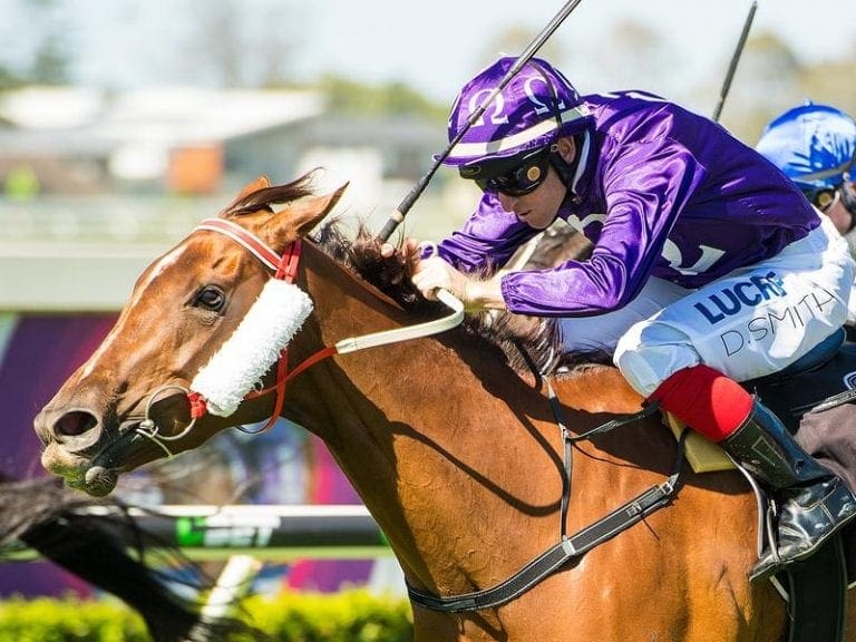 Ruby Guru gets Ipswich Cup chance | Betting Site
