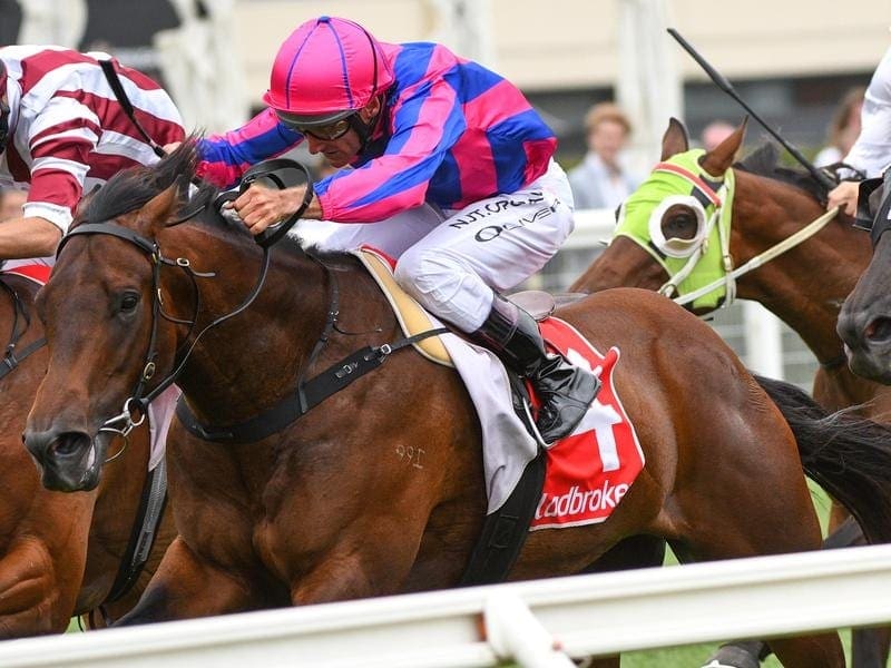 Tony Nicconi wins first-up at Caulfield | Betting Site