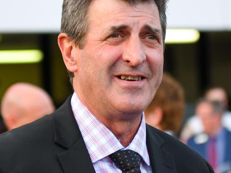 Hickmott imports on path to winter returns | Betting Site