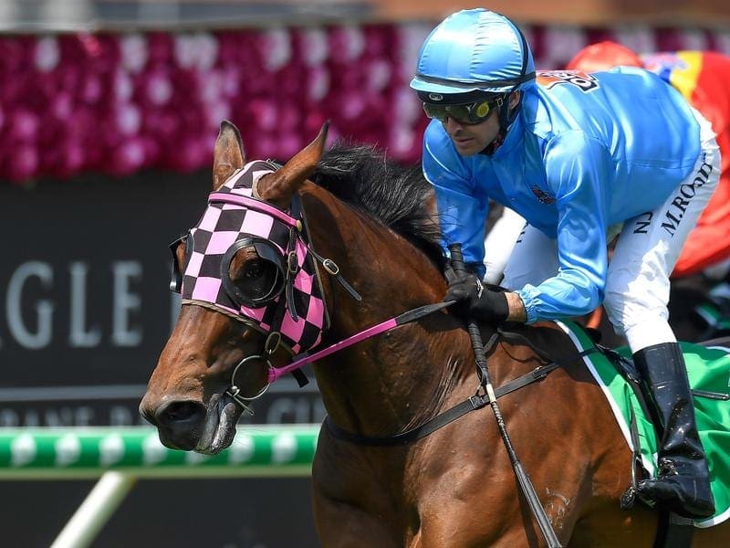 Ziemba to continue family tradition | Betting Site