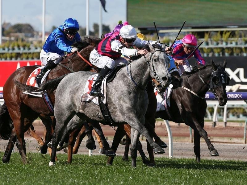 Fidelia makes autumn return at Caulfield | Betting Site