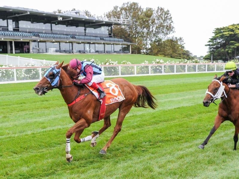 Vic racing given the green light for now | Betting Site