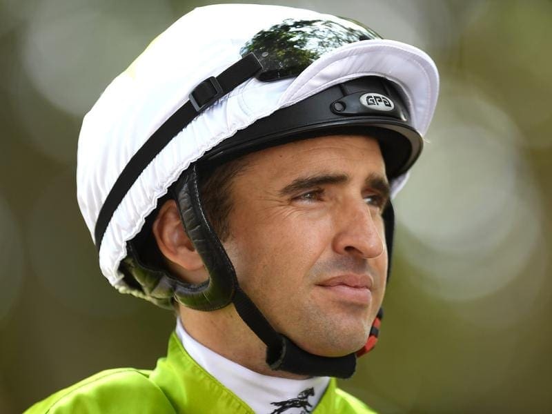 Rodd on the board after return to Victoria | Betting Site