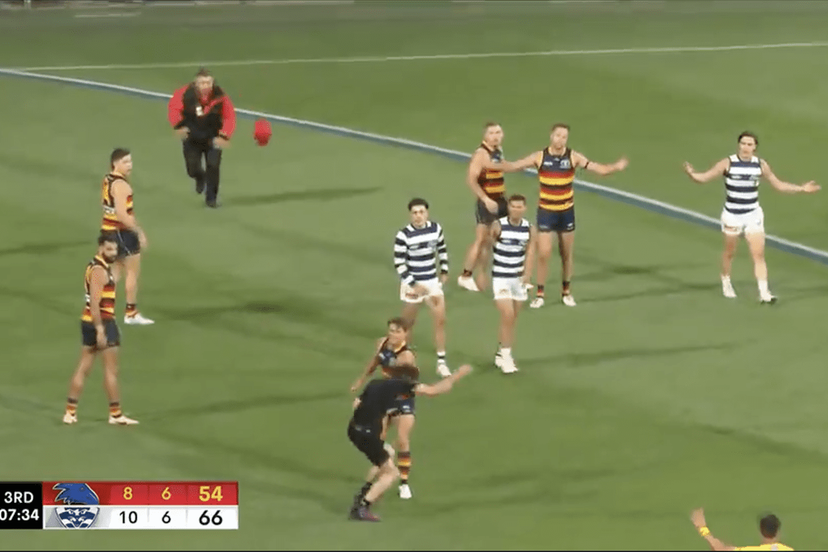 Adelaide Oval Pitch Invader Causes Chaos in Crows-Cats Match